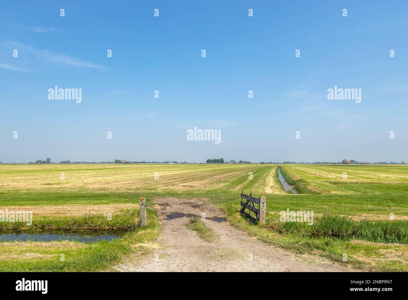 Gate open in agricultural land, bright green meadow with high sky and ...