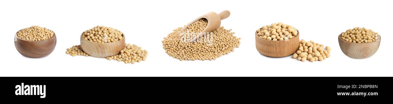 Set with soya beans on white background. Banner design Stock Photo - Alamy