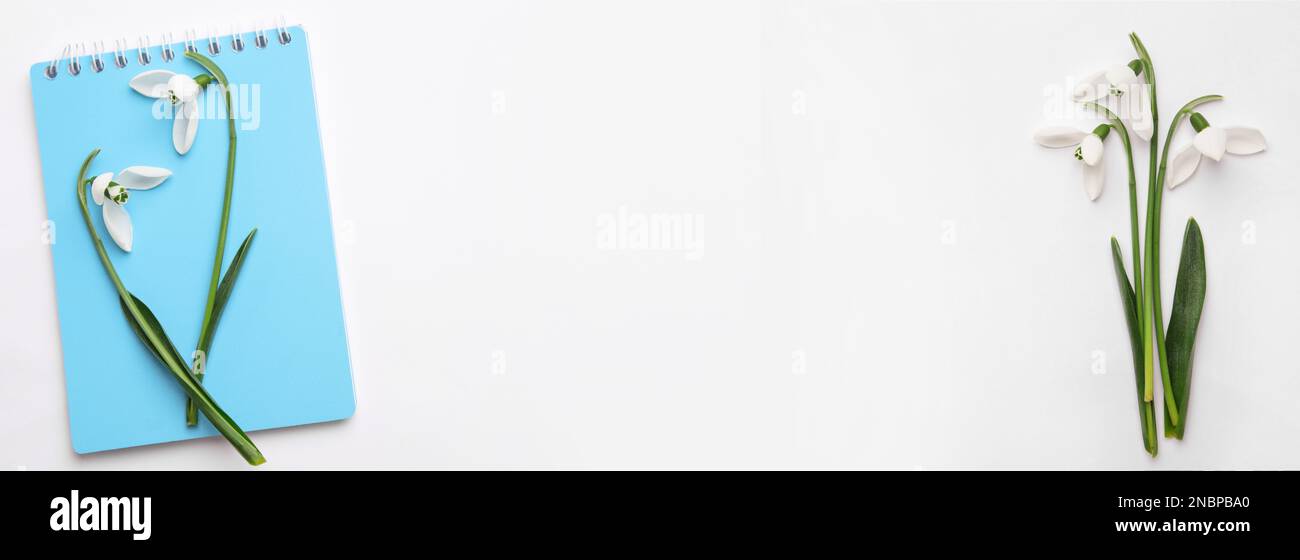 Beautiful snowdrops on white background, flat lay. Banner design Stock ...