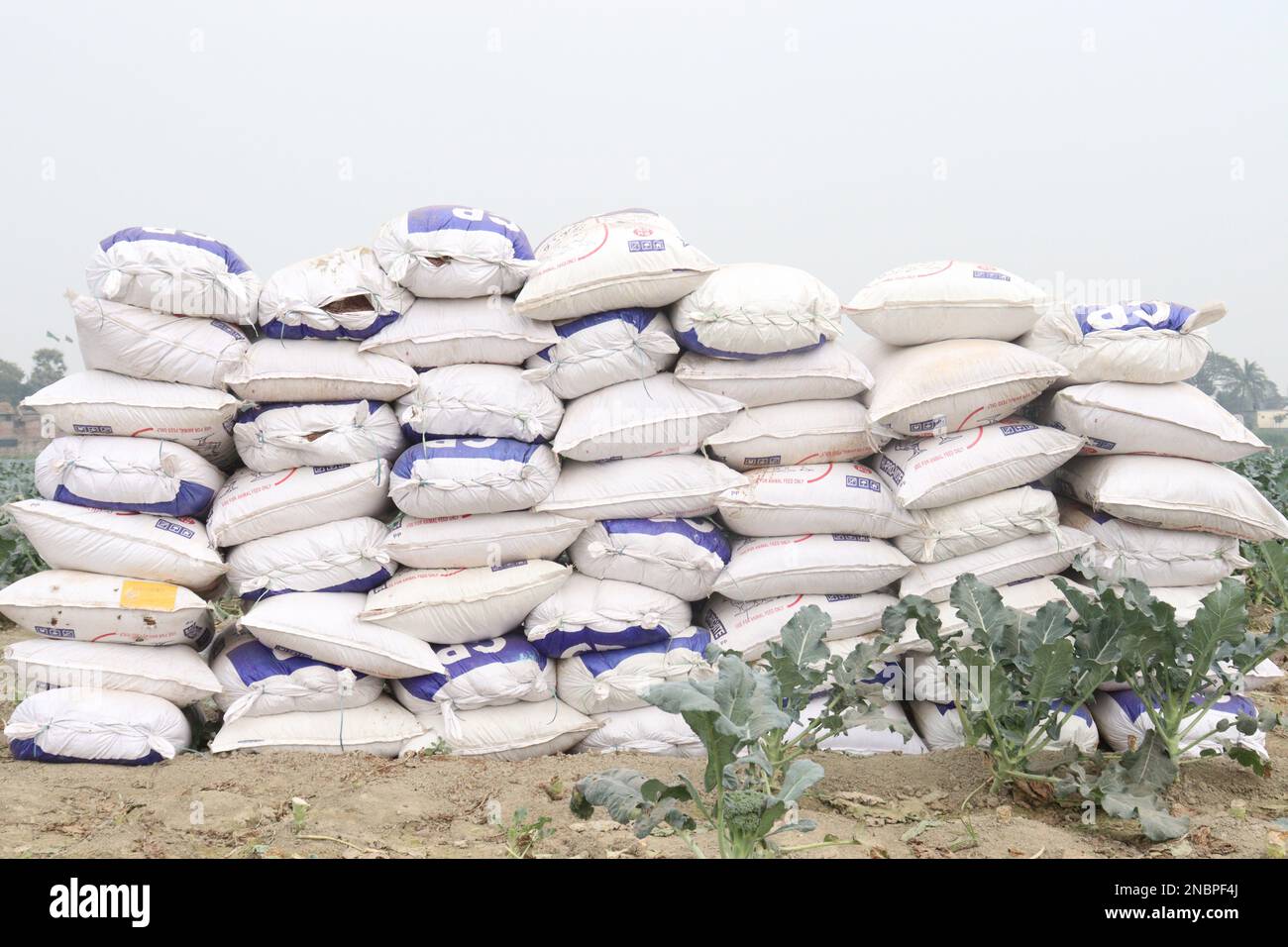 A stack of sacks of crop fertilizer on farm for spreading Stock Photo ...