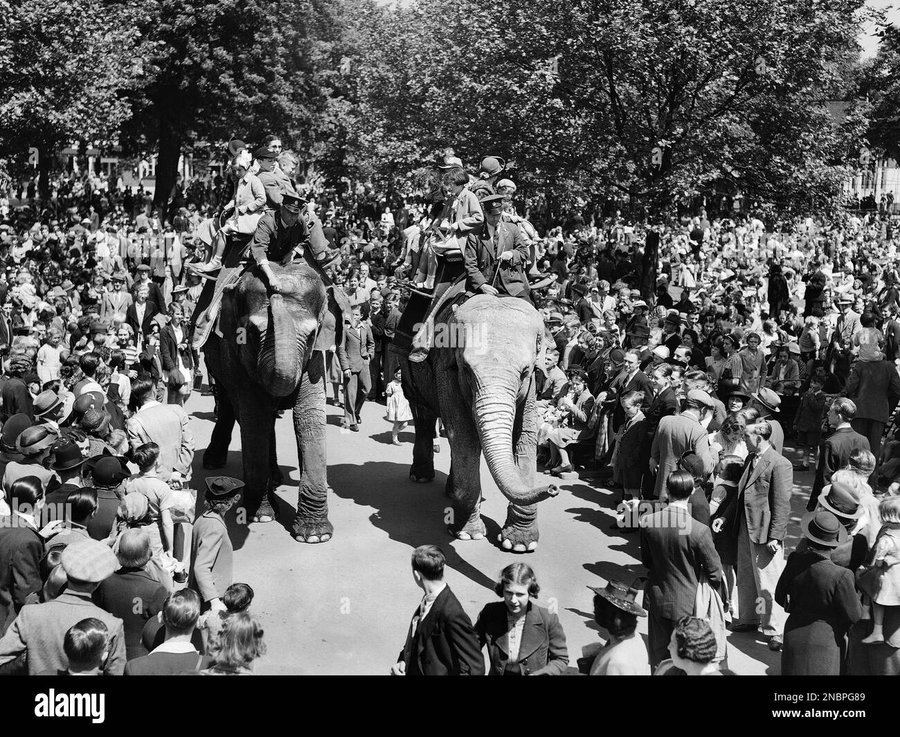 The ever-popular rides in the elephants at the zoo were more in demand ...