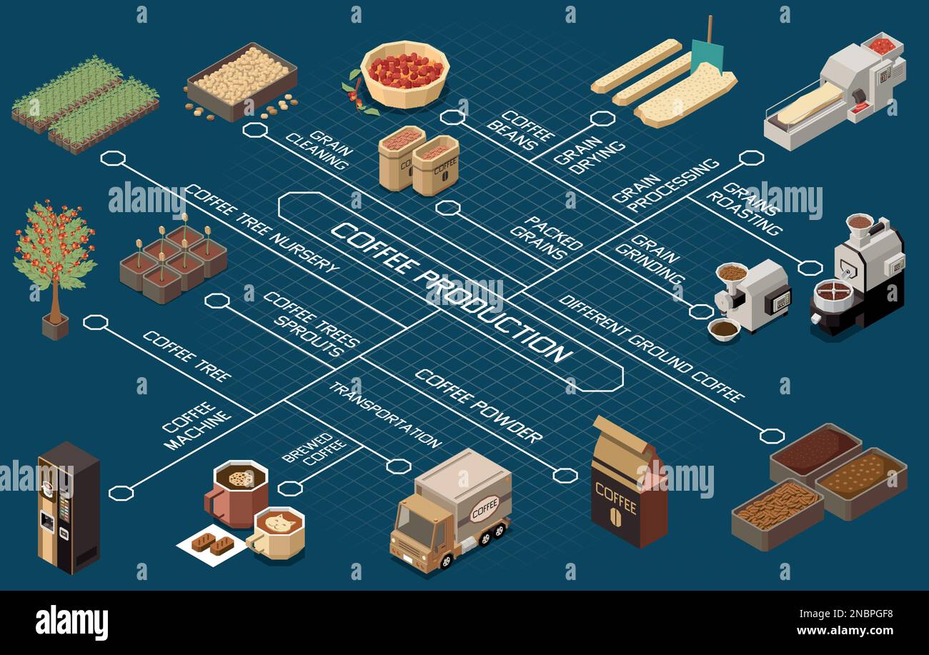 Coffee production industry flowchart depicting coffee tree nursery ...