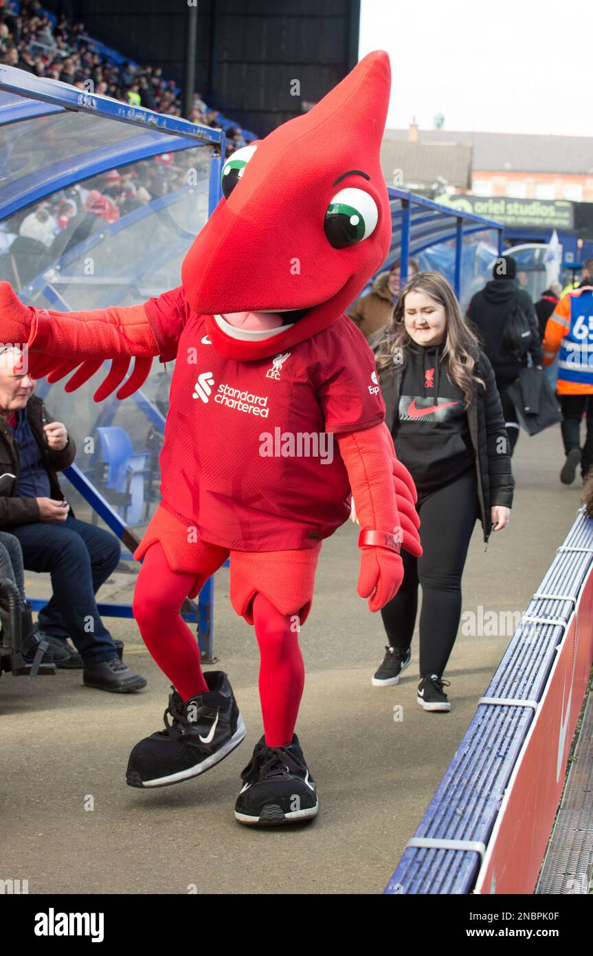 Ashleigh eaton hi-res stock photography and images - Alamy