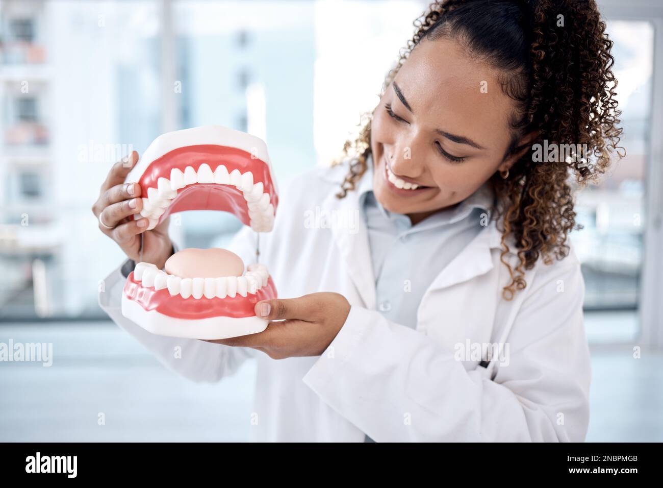 Plastic dental model holding hi-res stock photography and images - Alamy