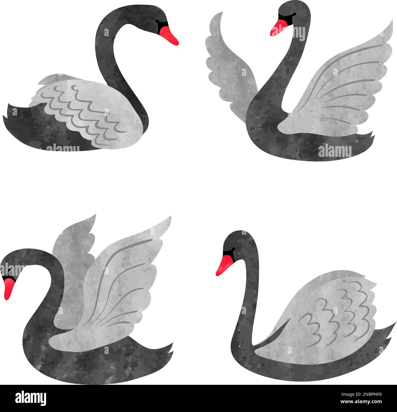 Vector set of beautiful watercolor black swans Stock Vector Image & Art ...