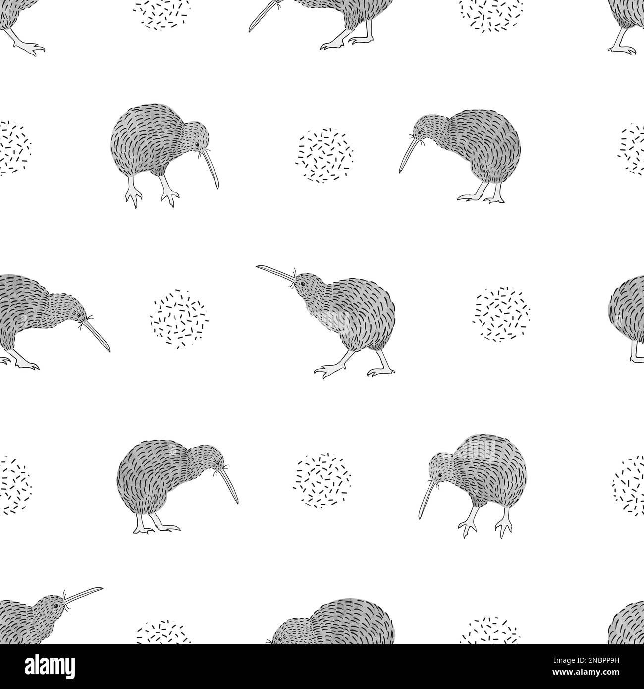 Seamless Kiwi birds pattern. Vector black and white background Stock ...