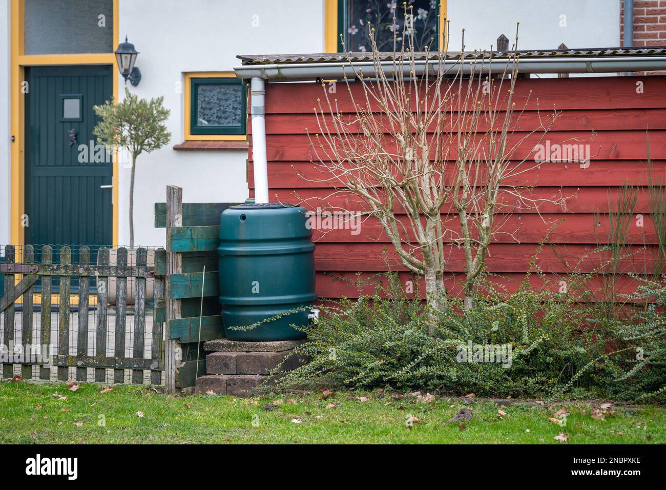 Green rain barrel for rainwater harvesting attached to the drainage of ...
