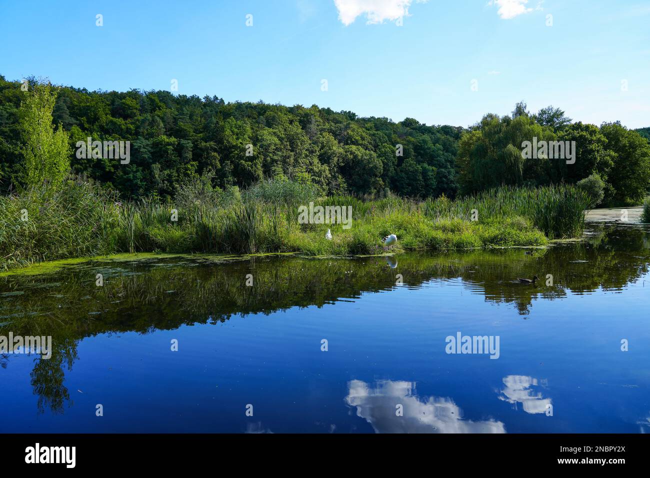 Landscape at the Fulda. Nature by the river Stock Photo - Alamy