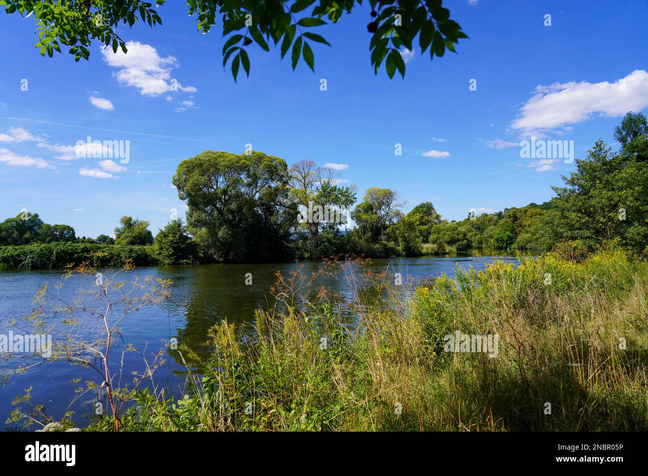 Nature at the Fulda. Landscape by the river Stock Photo - Alamy