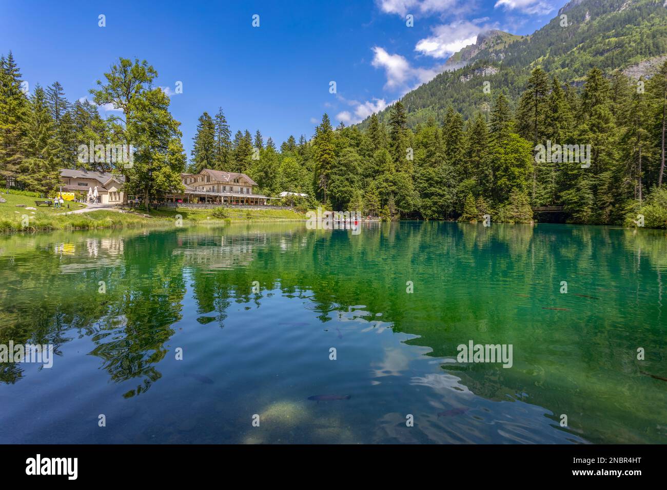 View of Blausee (The Blue lake) in Bernese Oberland, famous tourist ...