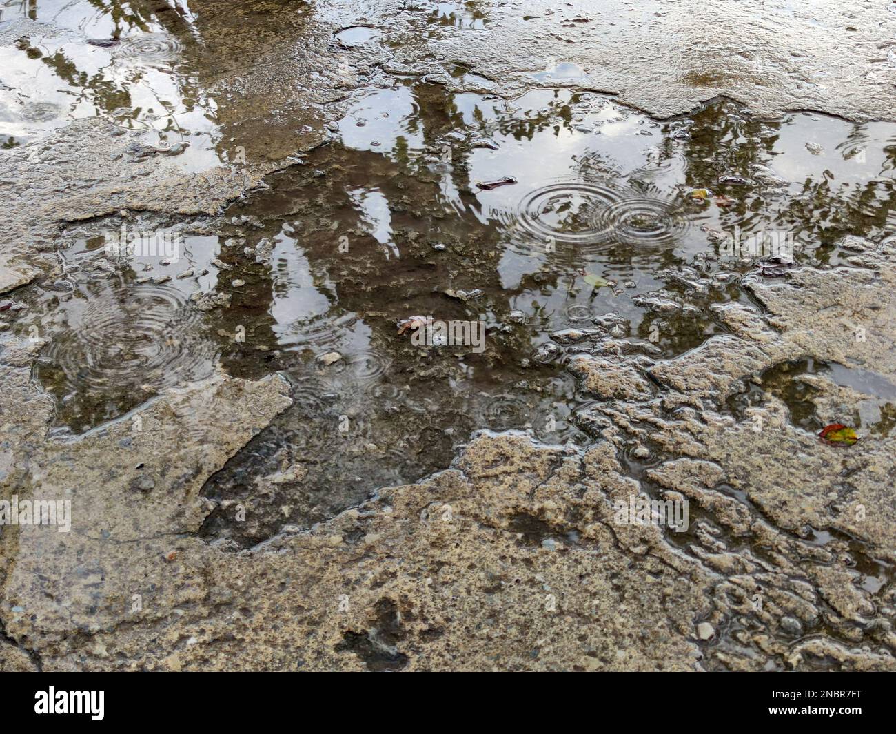 Drop splash on pavement hi-res stock photography and images - Alamy