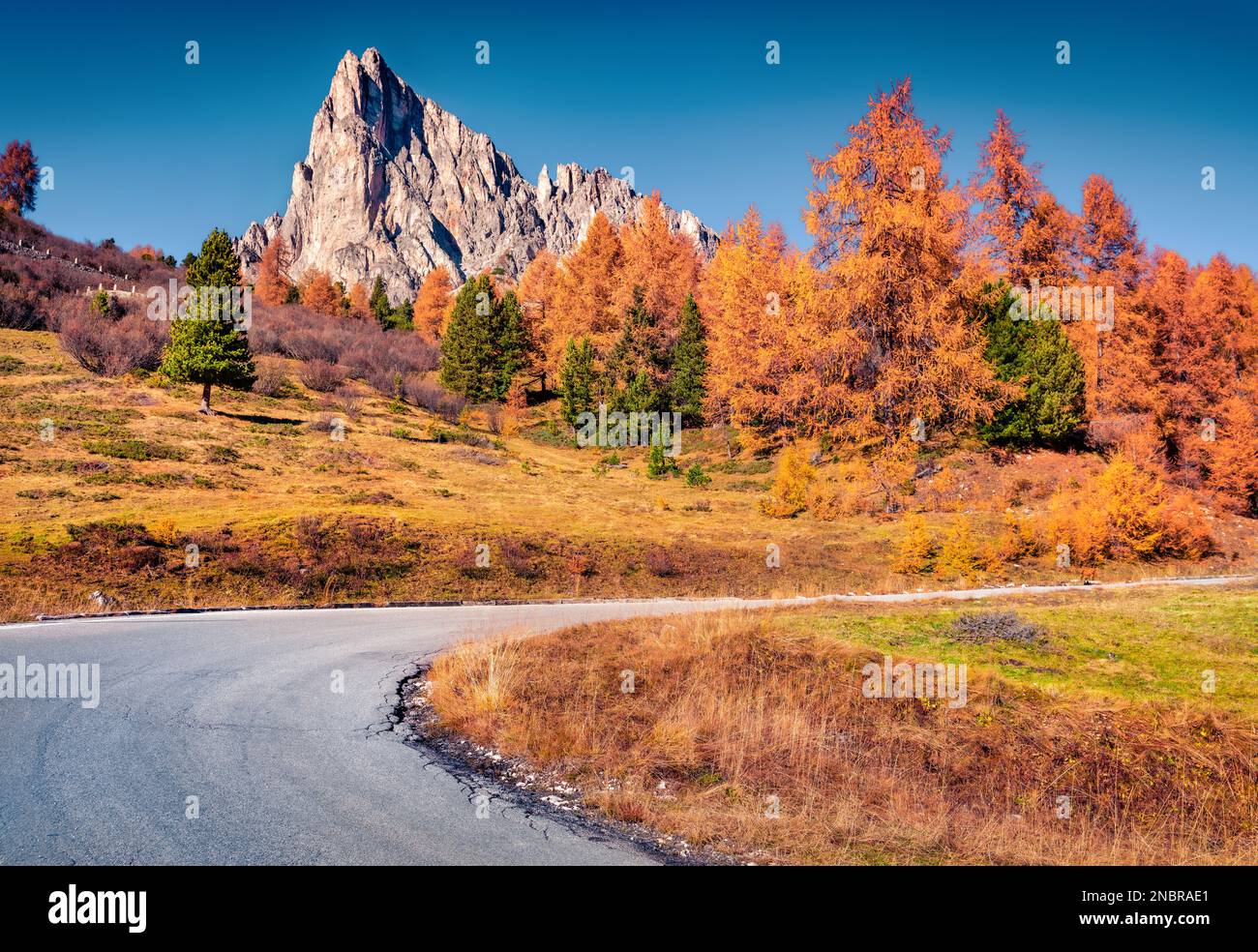 Astonishing sunny view of Dolomite Alps with yellow larch trees ...