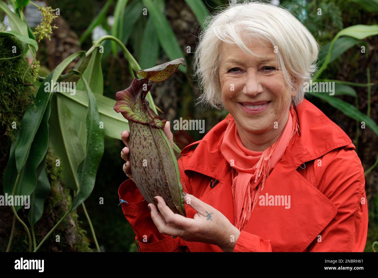 British actress Dame Helen Mirren poses with a new nepenthes cultivar ...