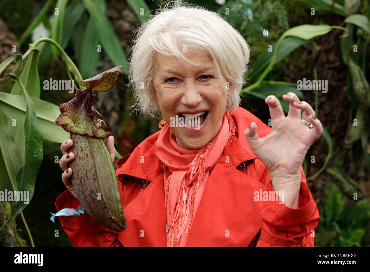 British actress Dame Helen Mirren poses with a new nepenthes cultivar ...