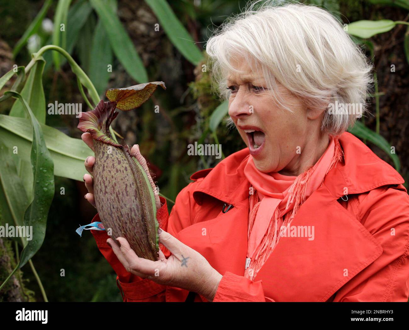 British actress Dame Helen Mirren reacts as she poses with a new ...