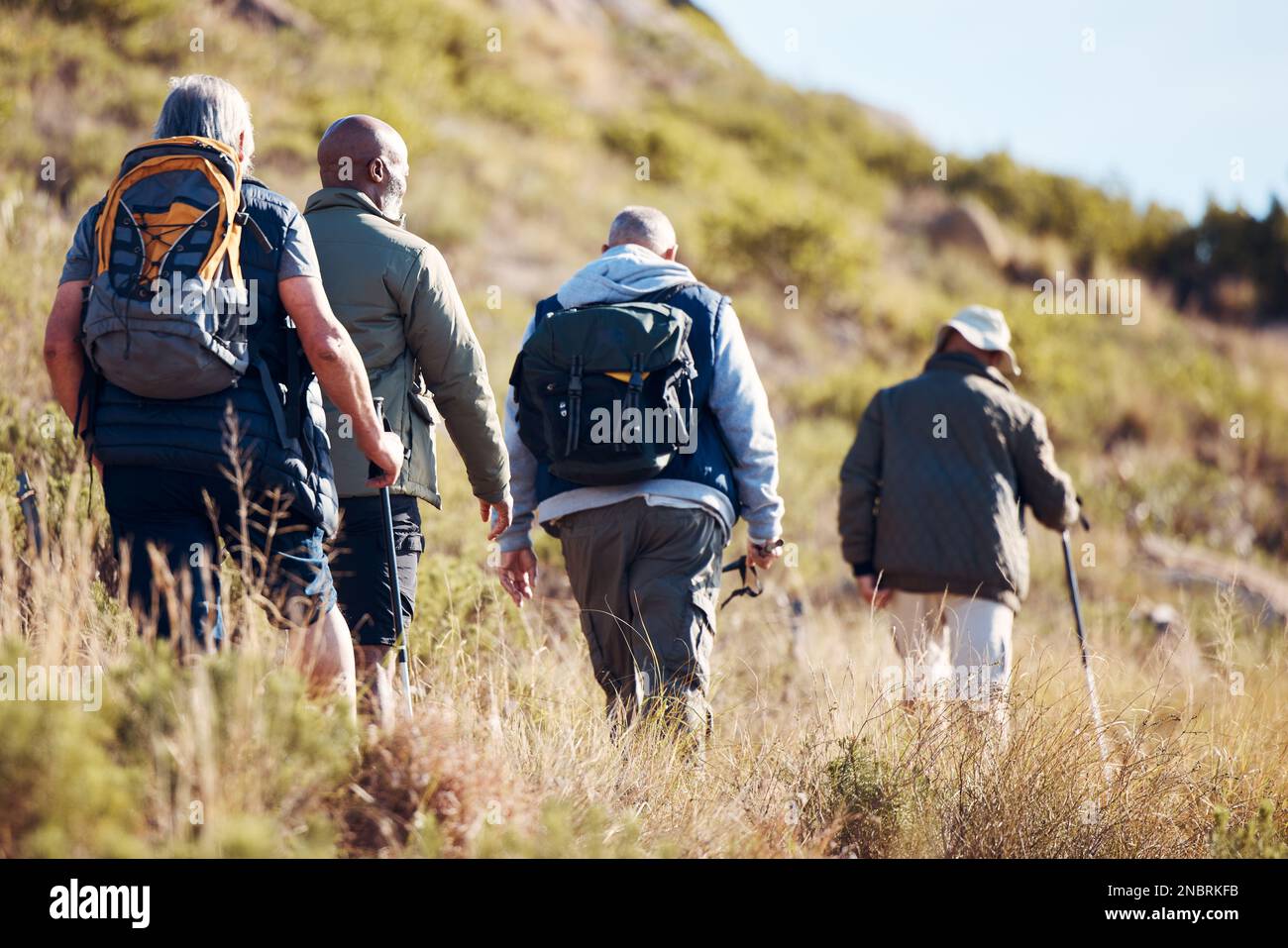 Hiking, field and senior men on mountain for fitness, trekking and ...