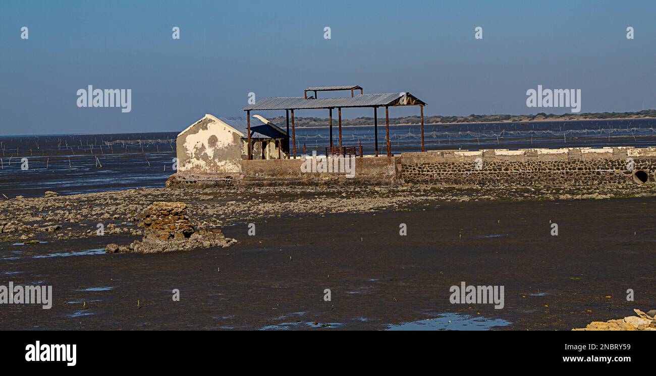 A small jetty in Koteshwar in the Kori Creek at low tide in the western ...