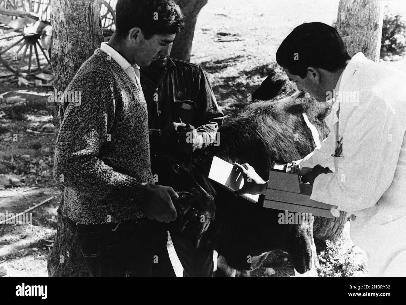 No hair left unturned in great nuclear search, an expert from Spain’s ...