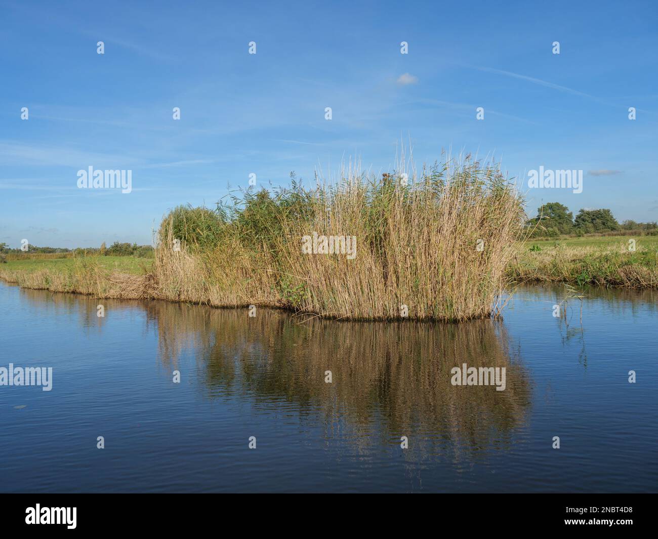 A water canal beneath a bright blue sky in the Giethoorn village in the ...