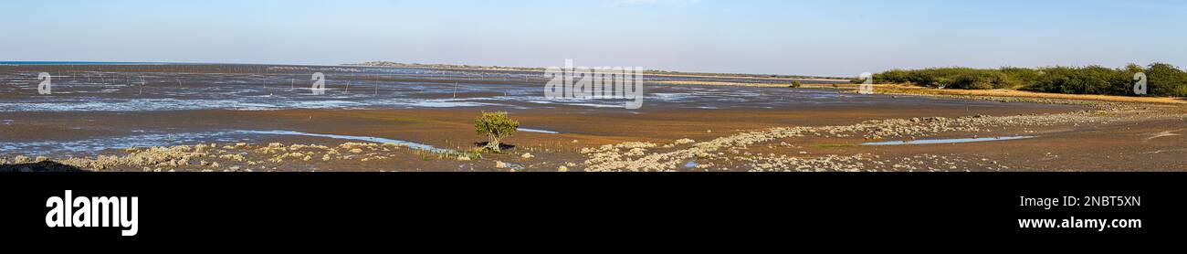 Koteshwar beach hi-res stock photography and images - Alamy