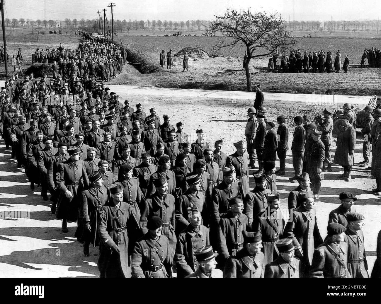 Liberated in 1945 by the u s army hi-res stock photography and images ...