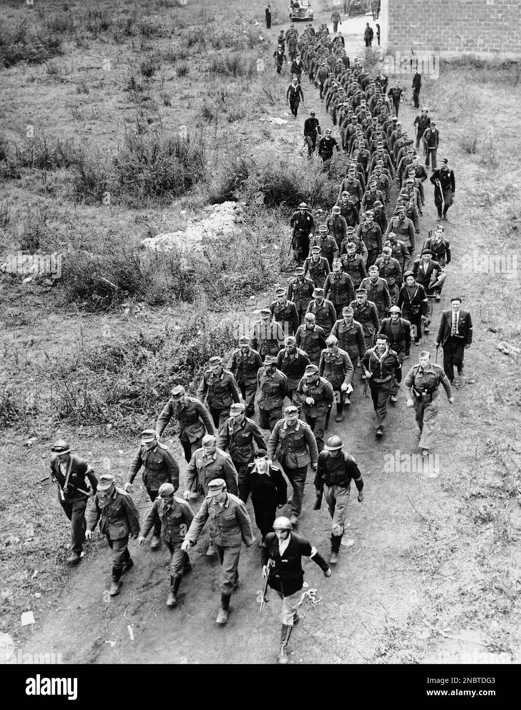 Soldiers of the German 229th Grenadier Regt., who were captured by FFI ...