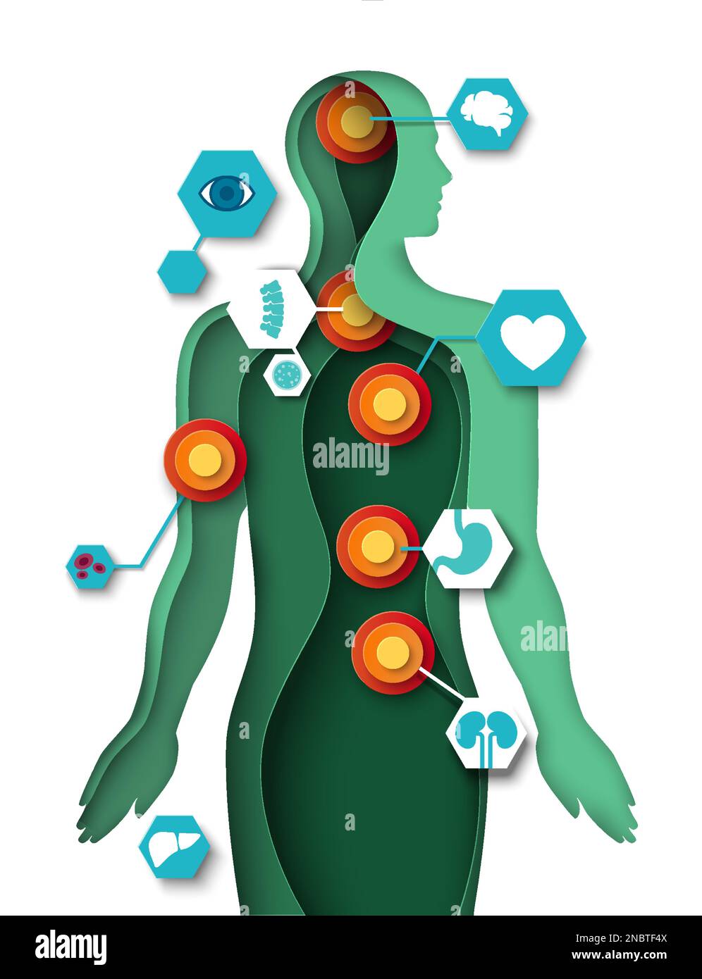 Human organ problems paper cut vector icon Stock Vector Image & Art - Alamy