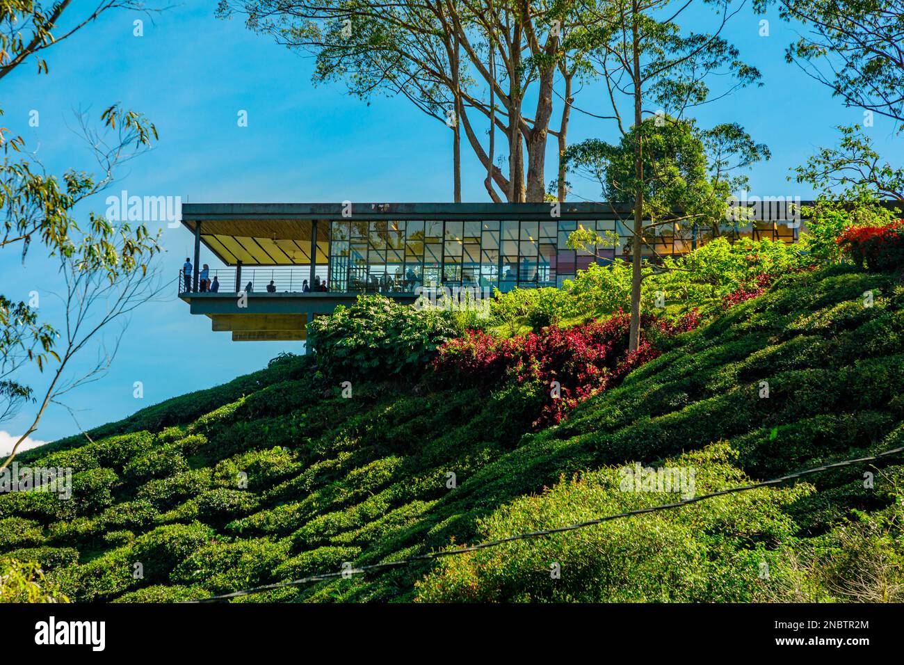 Cameron Highlands, Malaysia - 2023: BOH Tea Centre is a tea plantation ...