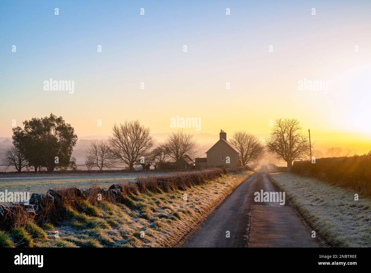 House and winter trees at sunrise in the frost. near Chadlington ...