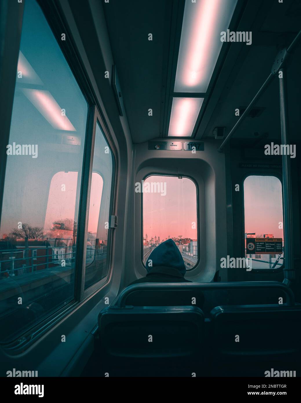 A vertical breathtaking view behind train windows of beautiful pink ...