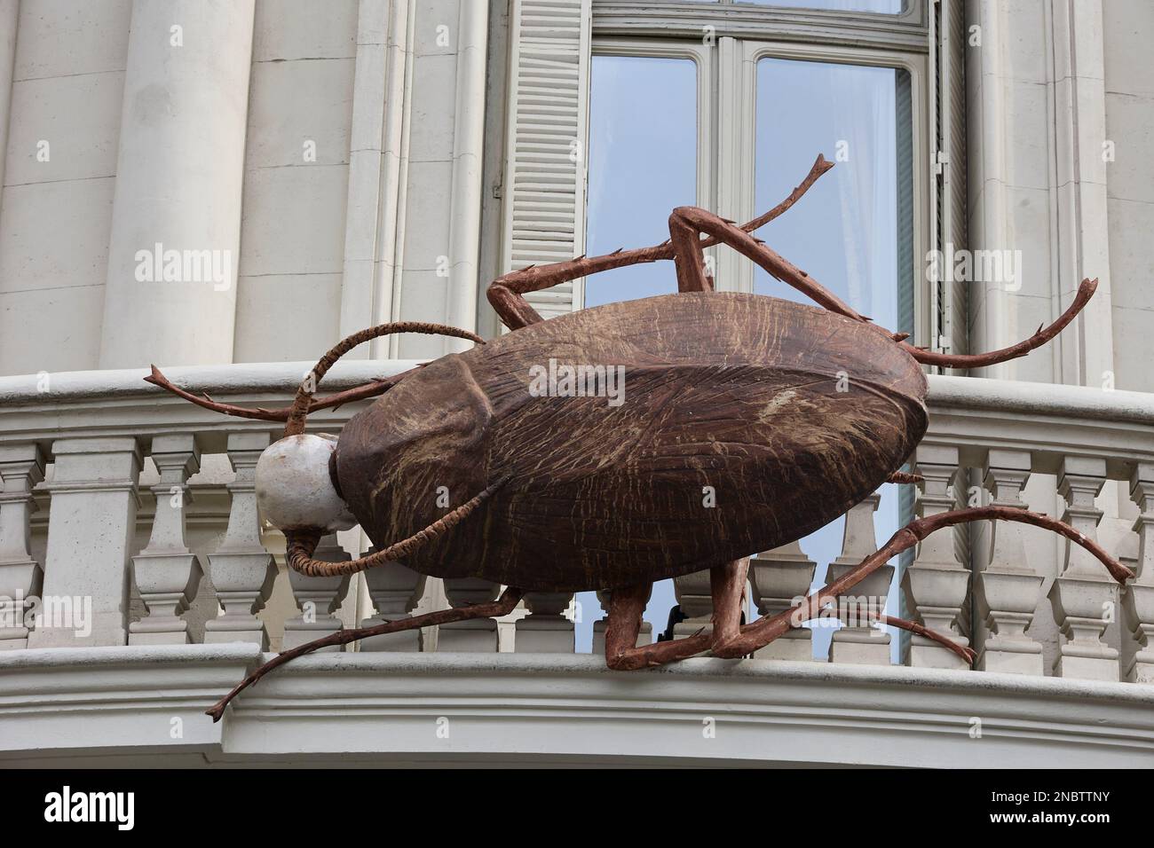 A cockroach sculpture with a human head on the façade of Casa America ...