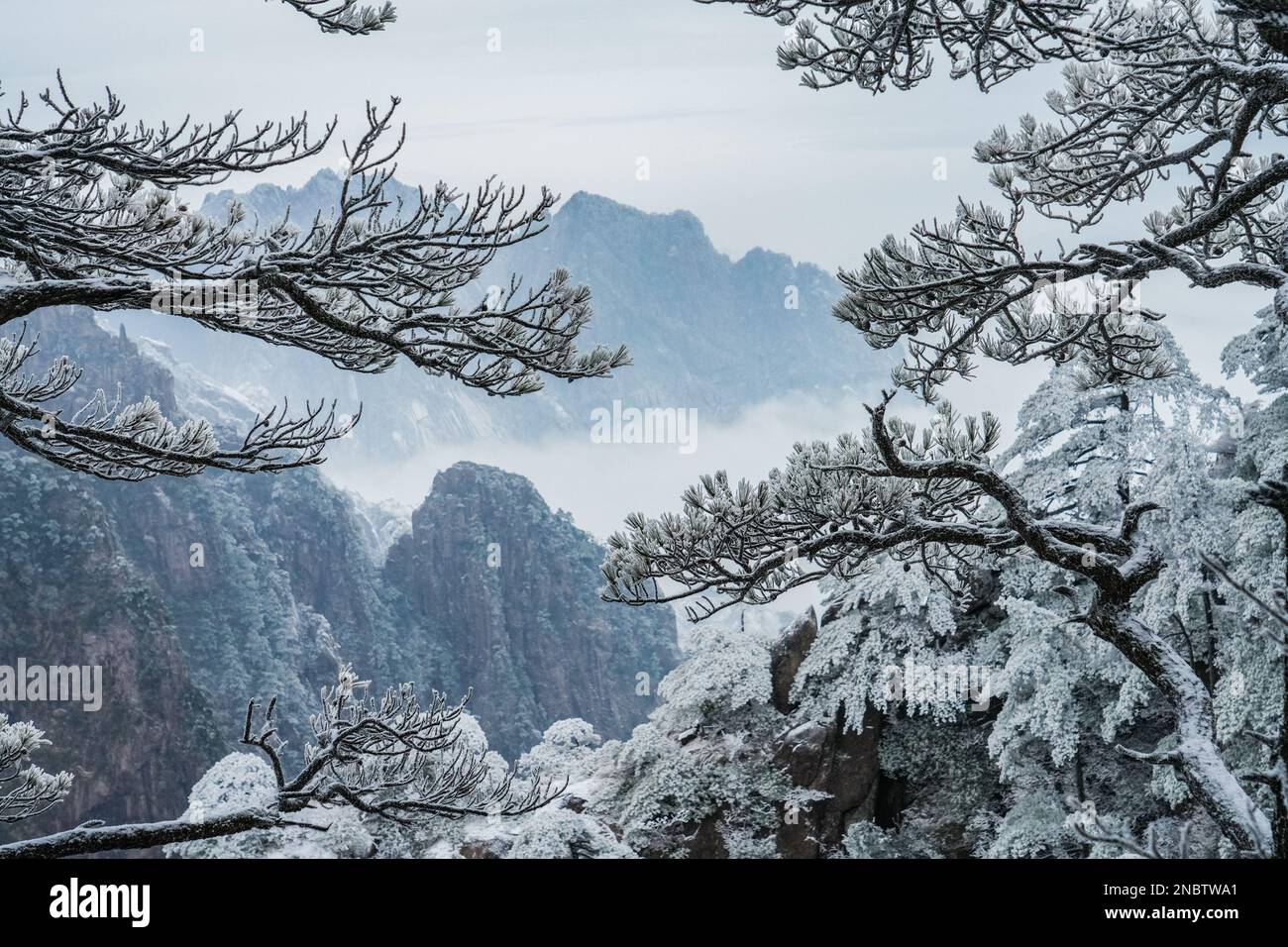 Huangshan. 14th Feb, 2023. This photo taken on Feb. 14, 2023 shows the rime scenery on the ...