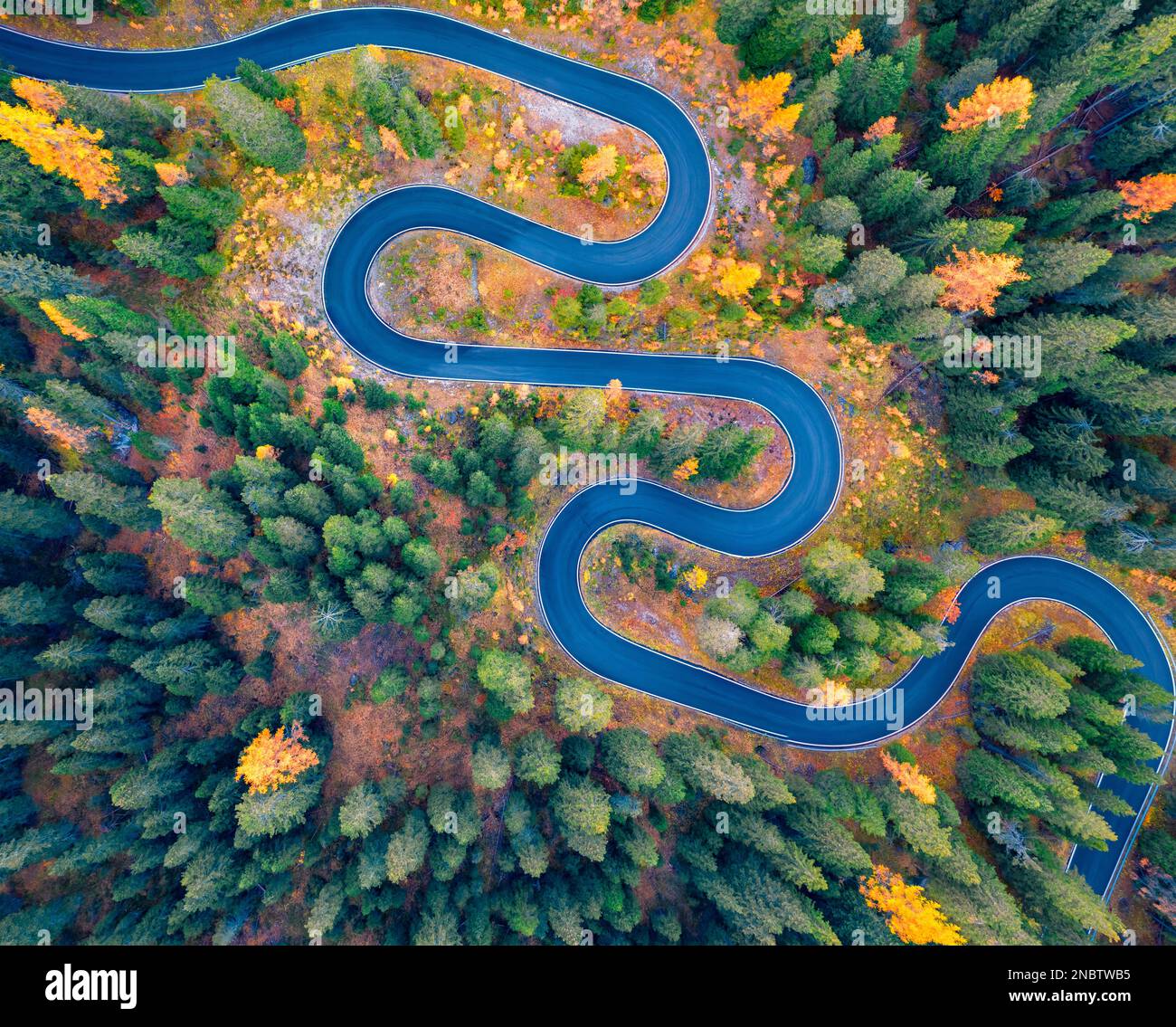Aerial view of winding road in autumn forest. Splendid morning scene of ...