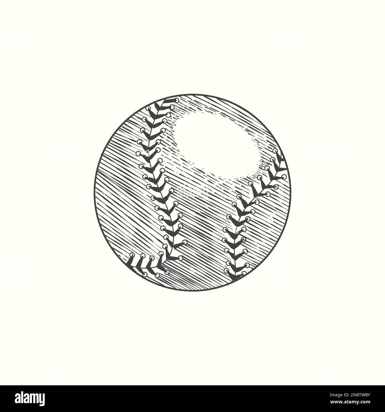 Baseball softball vector illustration in black. Detailed vintage style ...