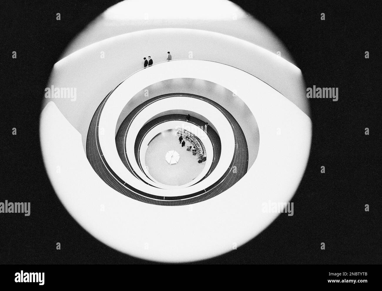 Snail-like design is the result of a meeting between an imaginative ...