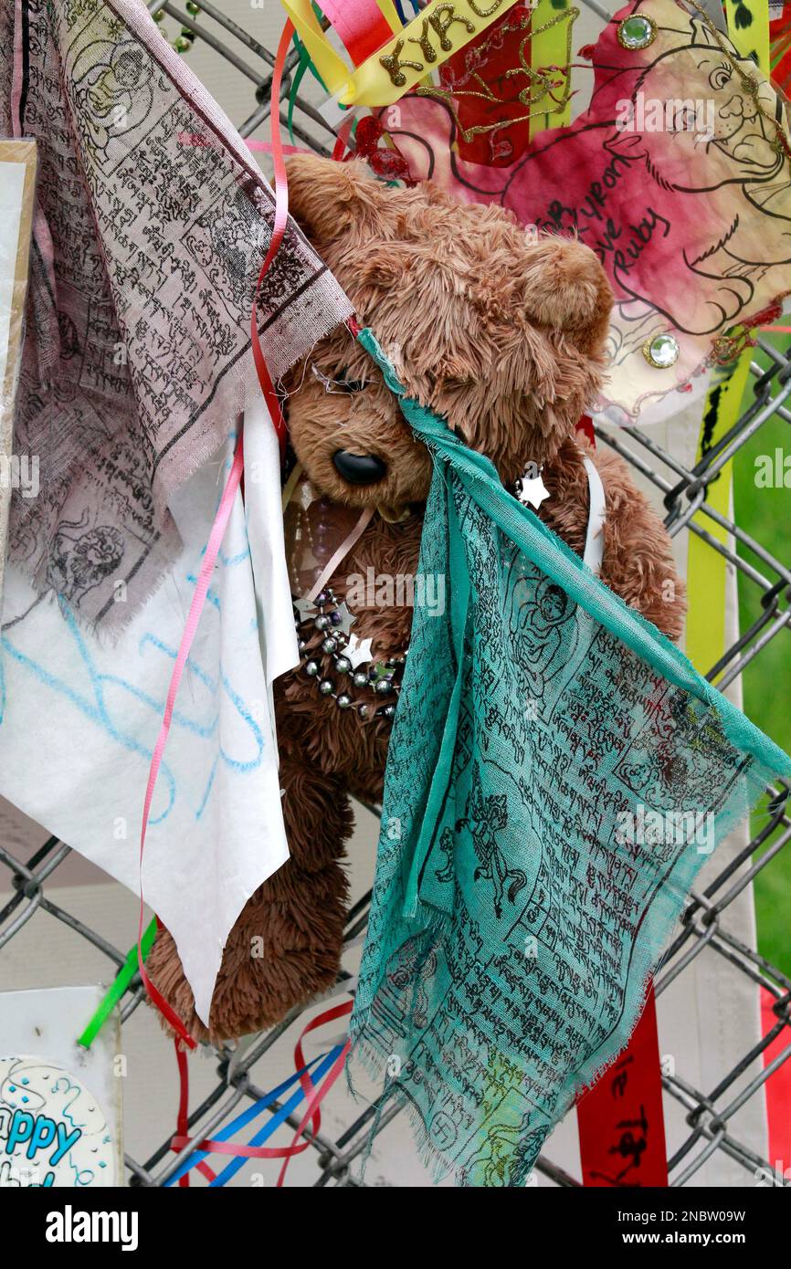 A weathered teddy bear hangs on a cyclone fence at "Kyron's Wall of ...