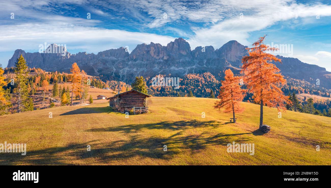 Red larch trees on the top of Nigra pass. Breathtaking autumn scene of ...