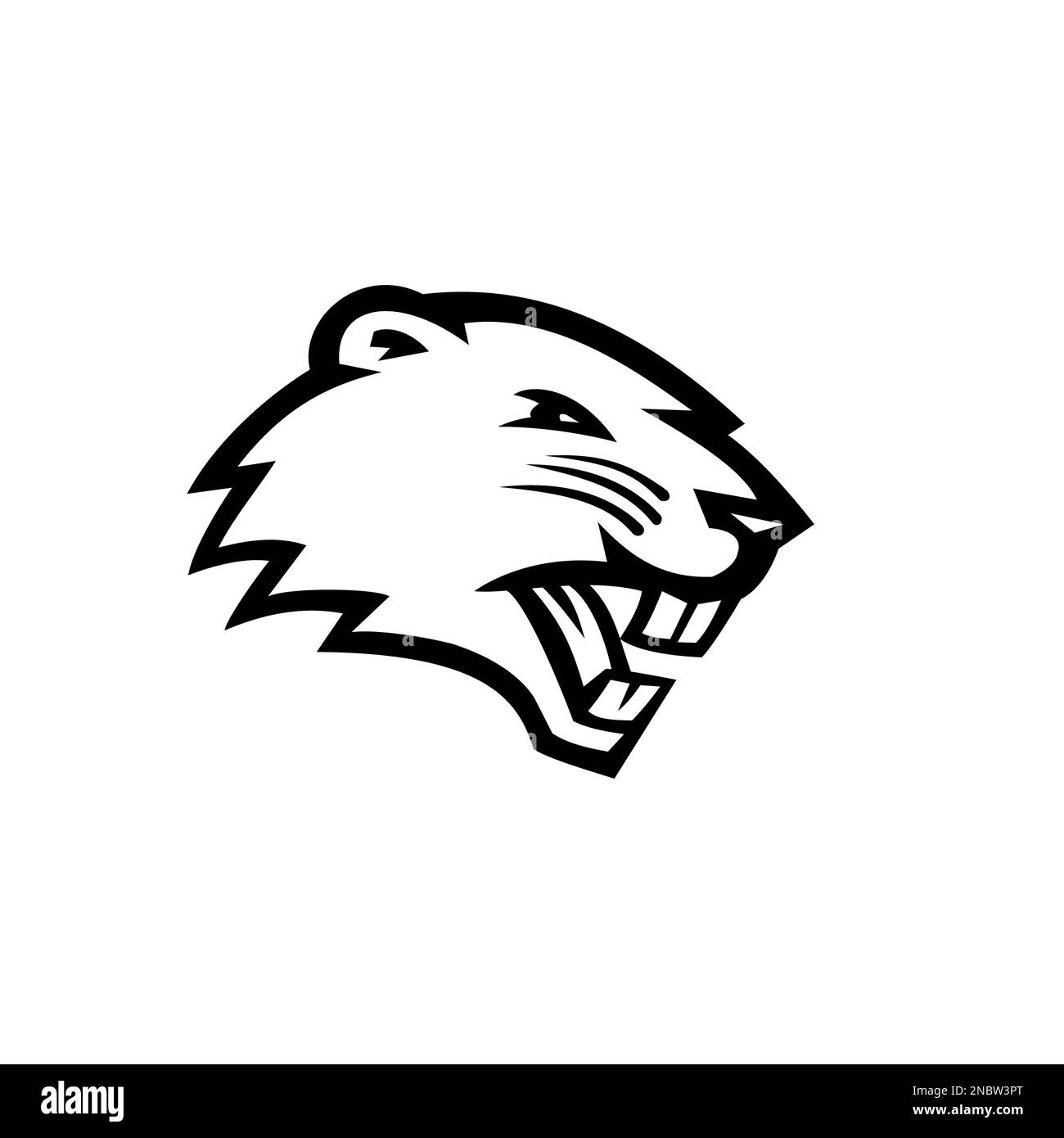 Black and white mascot illustration of head of an angry North American ...