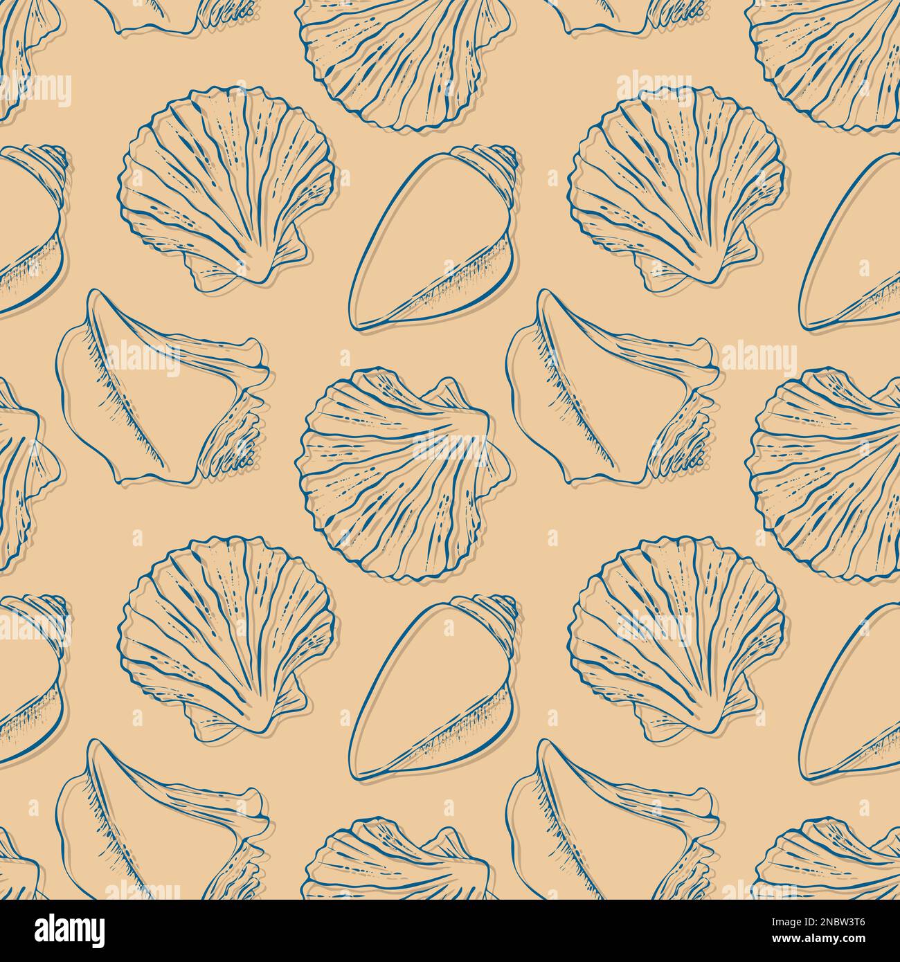Pattern with Seashells hand drawn doodle, blue and beige colors. Summer background. Vector ...