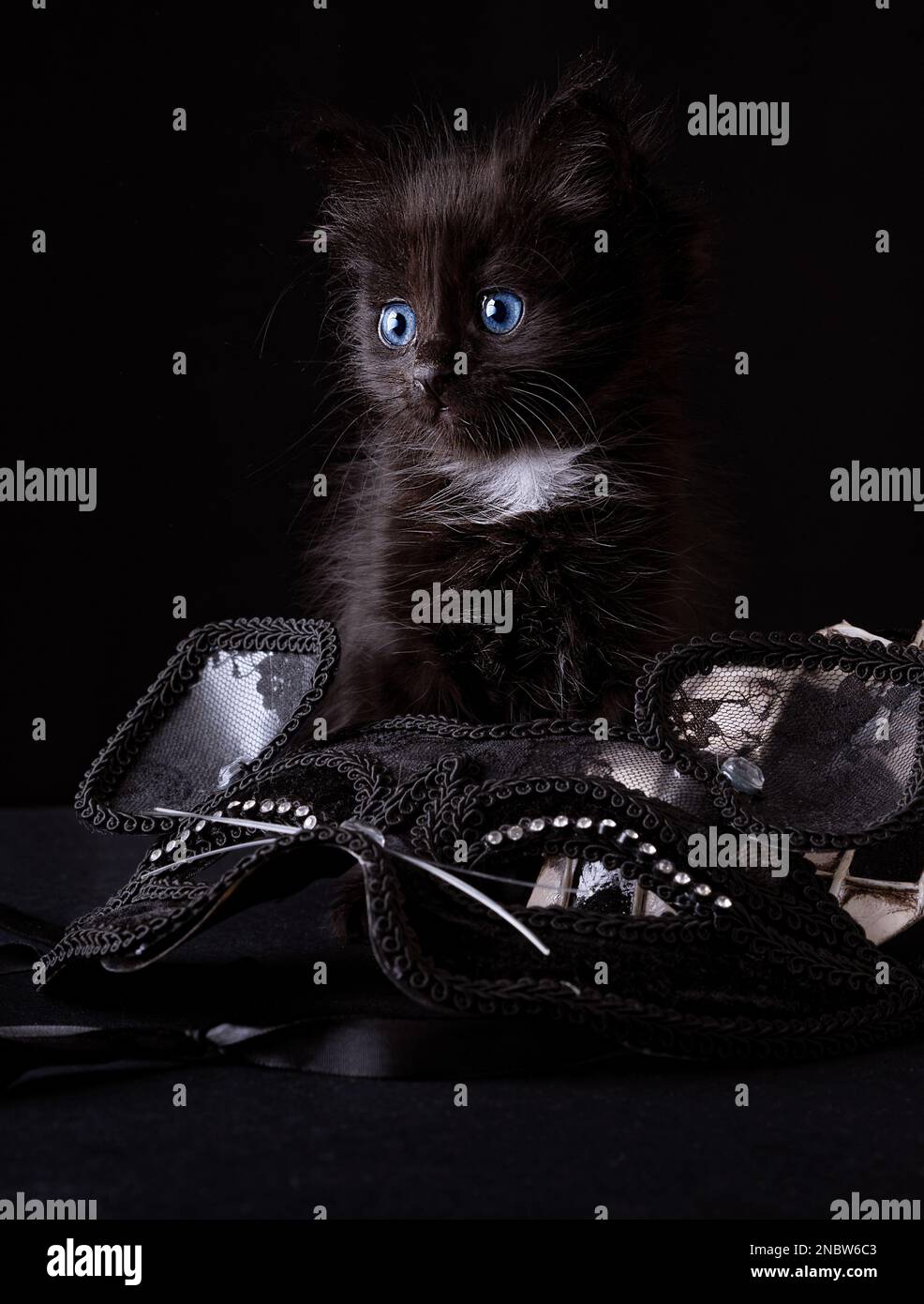 The symbol of the Venetian carnival is a plaid mask like a harlequin ...