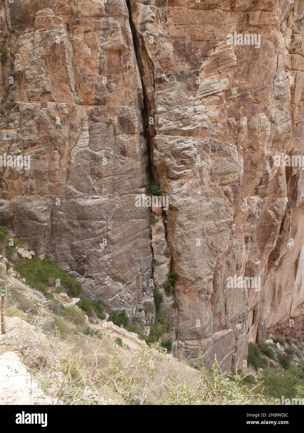 A vertical shot of the cliff wall in Grand Canyon National Park ...