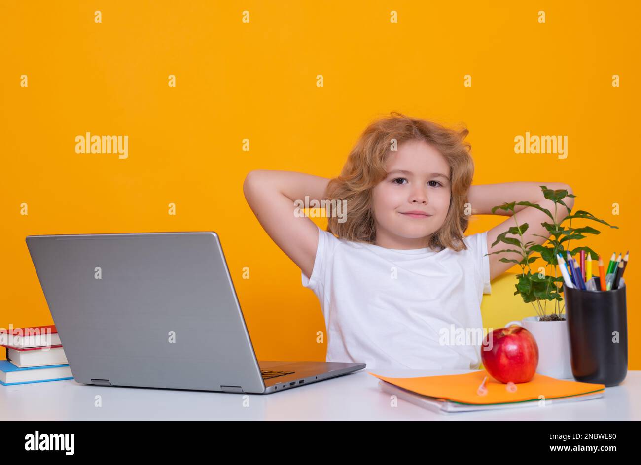 School child using laptop computer. Kid boy from elementary school with ...