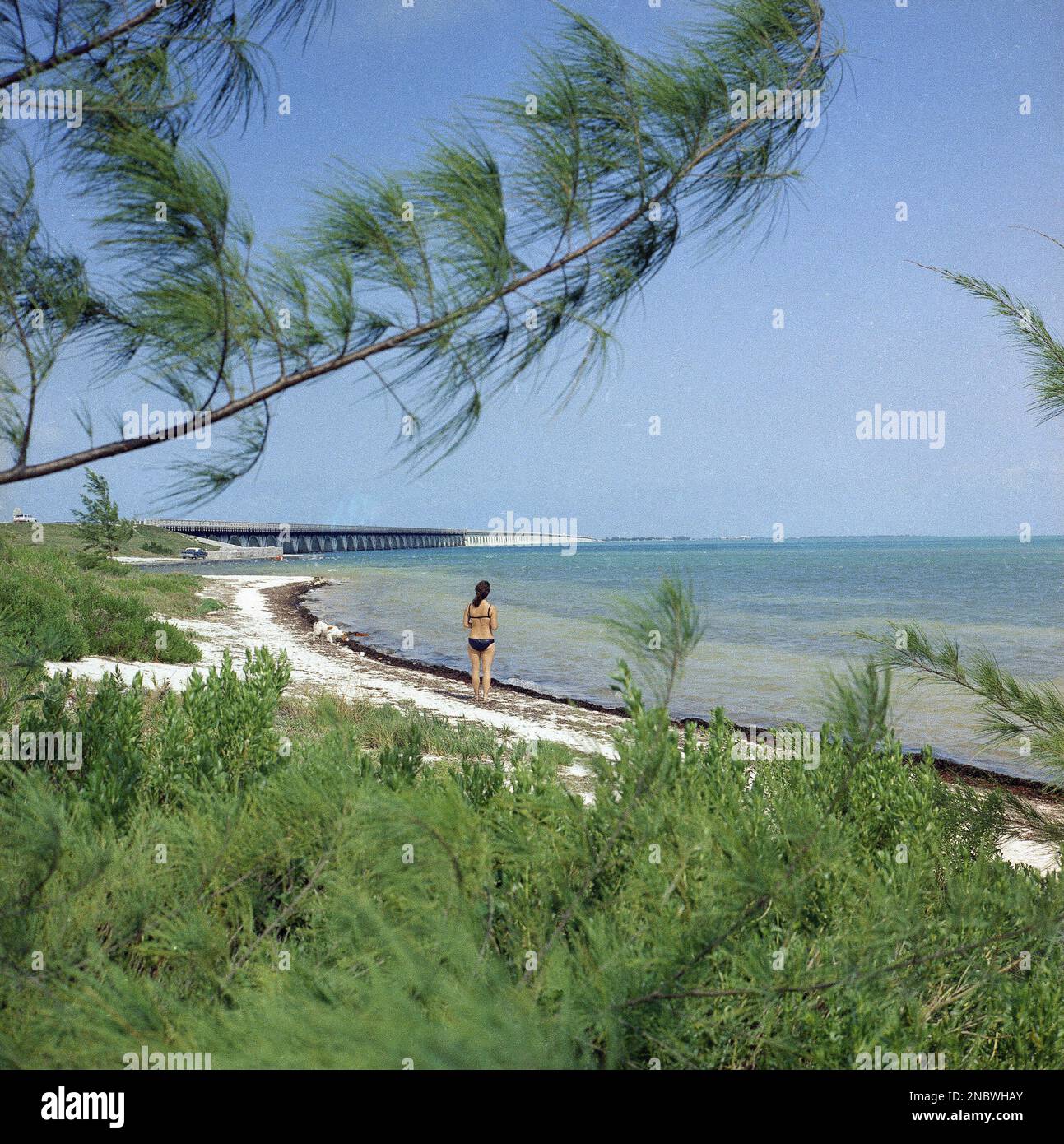 Anyone who has visited the Florida Keys knows and appreciates the ...