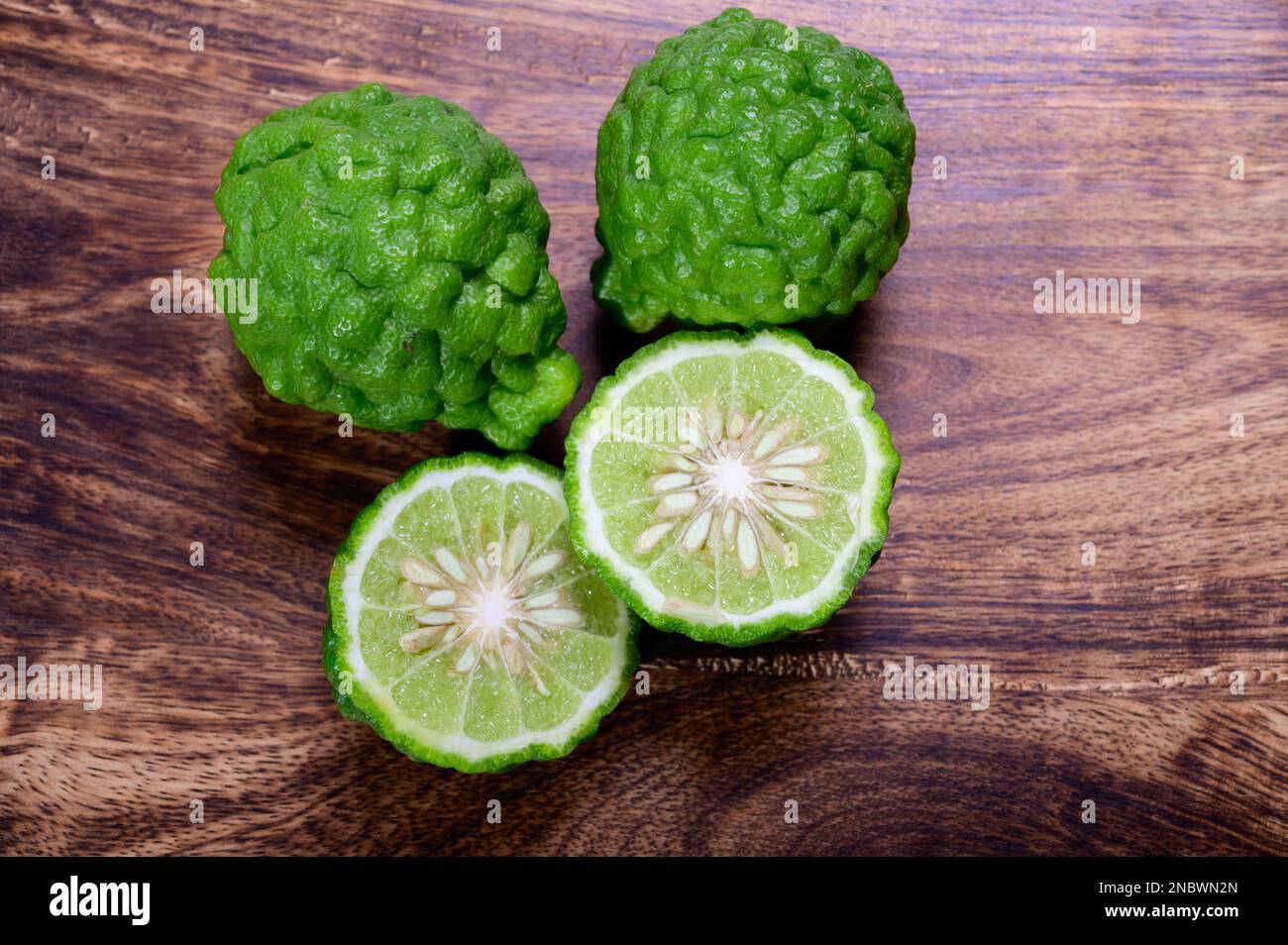 Citrus hystrix, green kaffir lime or makrut lime, citrus fruit native ...