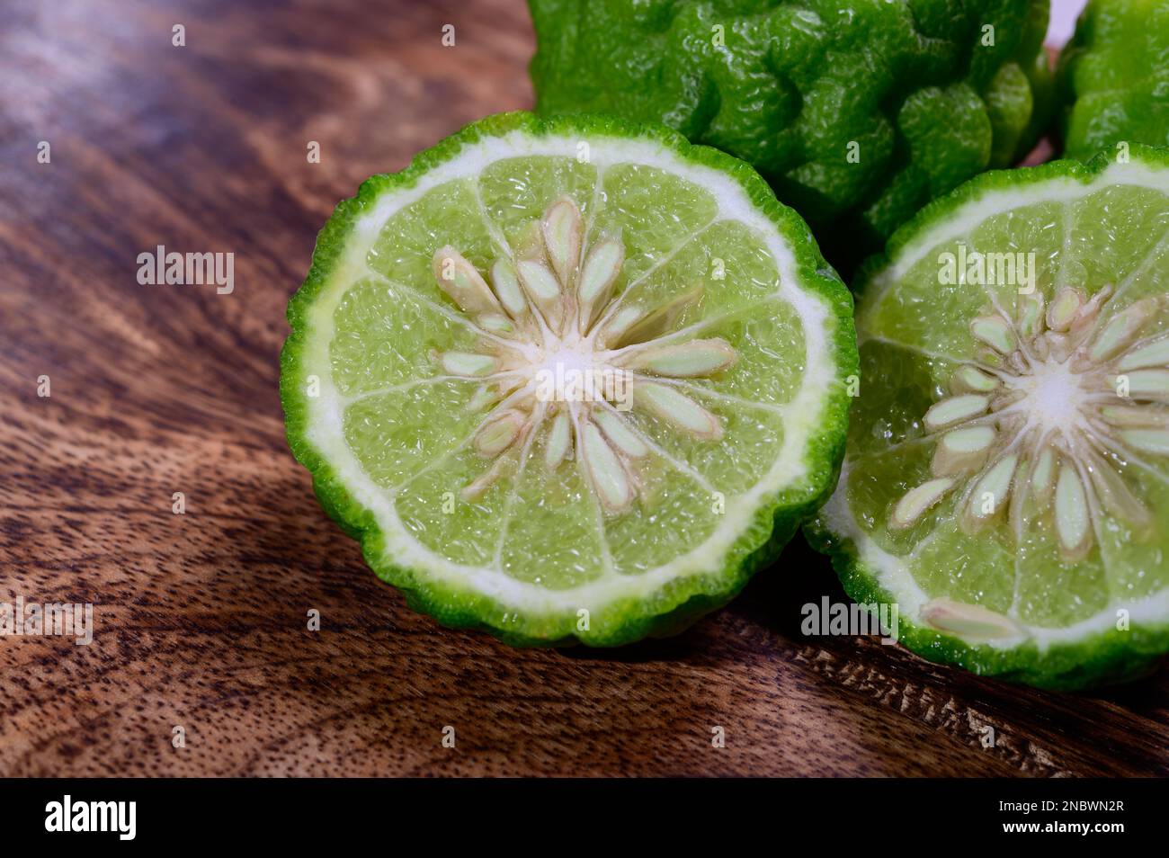 Citrus hystrix, green kaffir lime or makrut lime, citrus fruit native ...