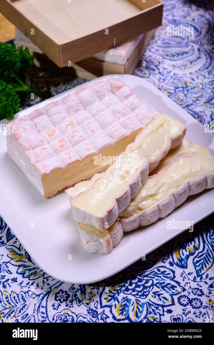 French cheeses collection, yellow Vieux Pane cheese with white mold ...