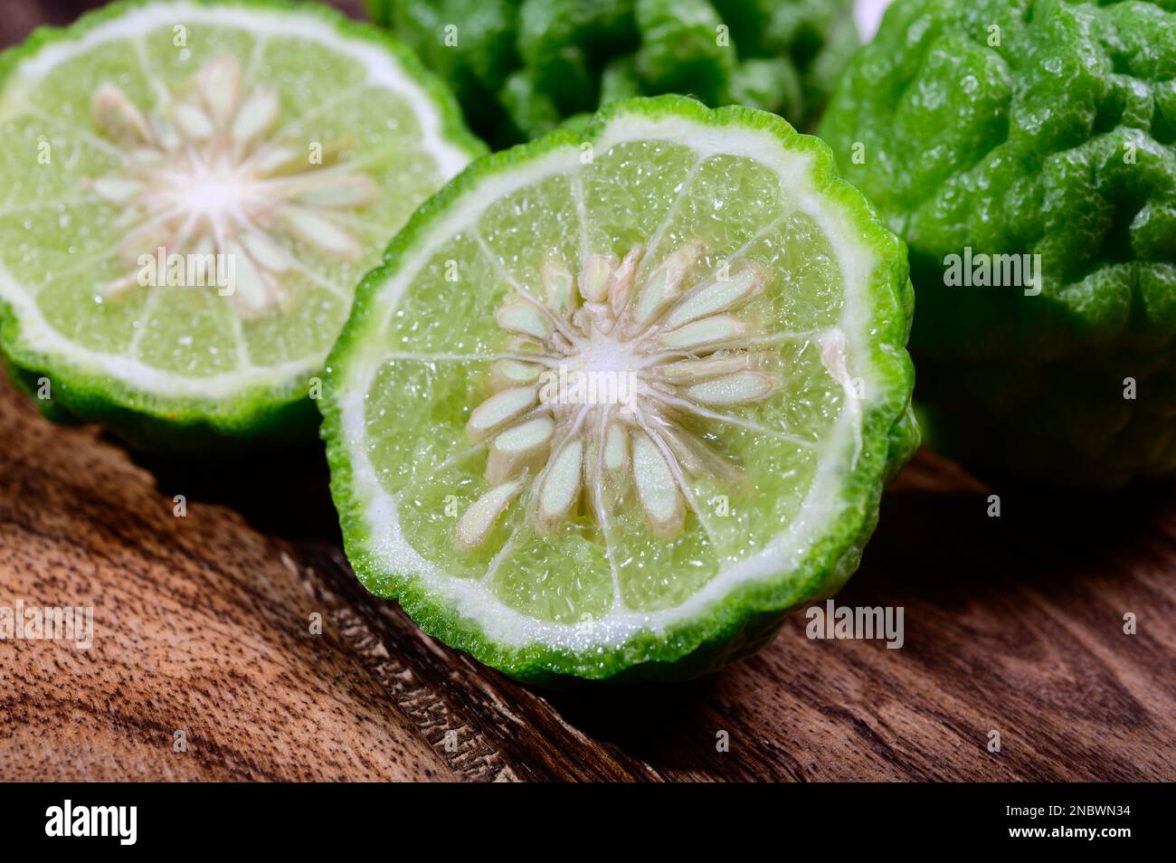 Citrus hystrix, green kaffir lime or makrut lime, citrus fruit native ...