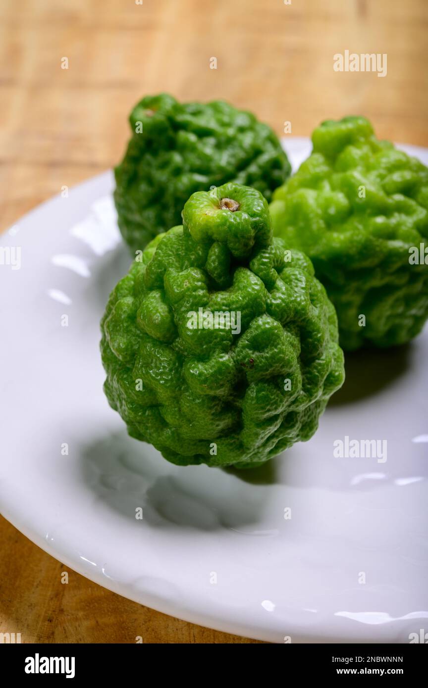 Citrus hystrix, green kaffir lime or makrut lime, citrus fruit native ...