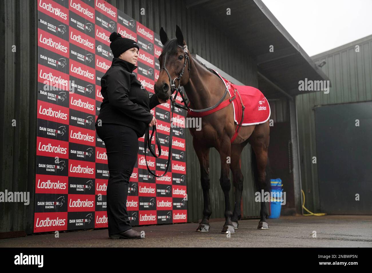 West Balboa, during a visit to Dan Skelton's stables at Lodge Hill ...