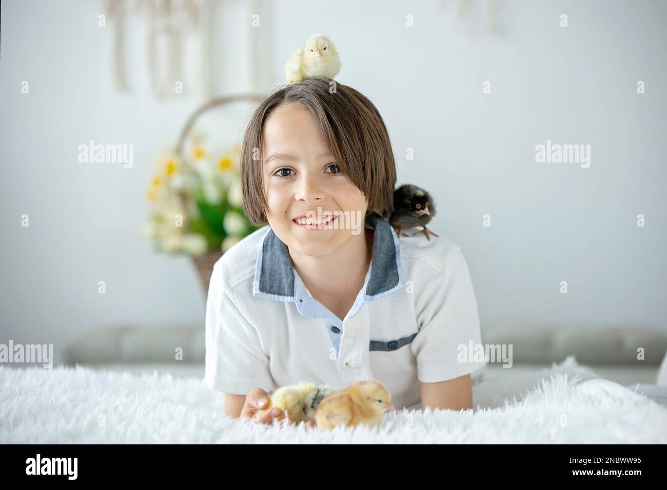 Cute child at home with little newborn chicks, enjoying, cute kid and ...